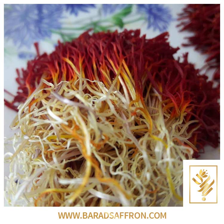 ریشه زعفران چیست؟ (کاربرد + طبع + کارایی + نحوه مصرف) | زعفران باراد